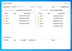 How to Transfer Files to and from Remote Desktop in Windows 11/10 - UMA ...
